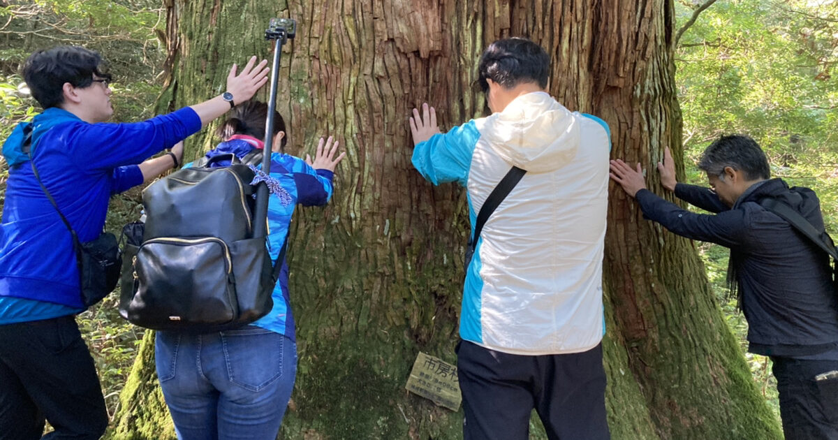 市房山で自己を見つめなおすセルフリーダーシップ | KUMA-KATION｜ワーケーションinくまもと